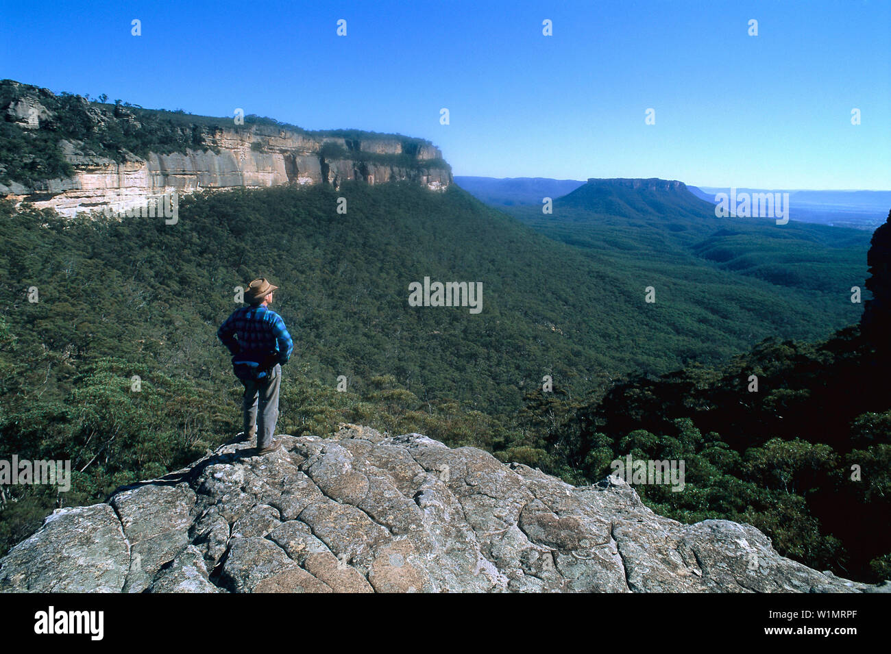 Baal bone gap hi-res stock photography and images - Alamy