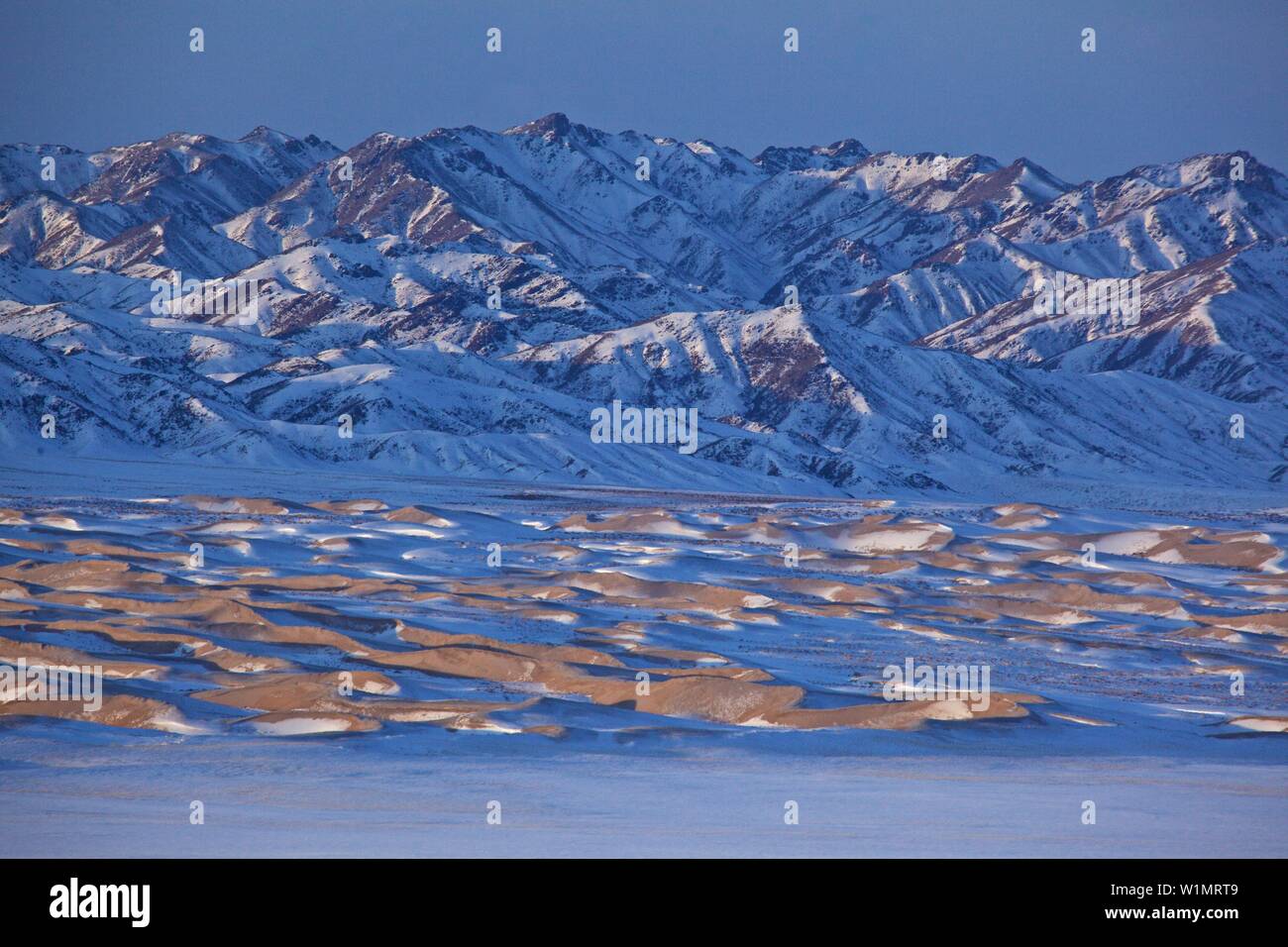 Gobi Desert Snow