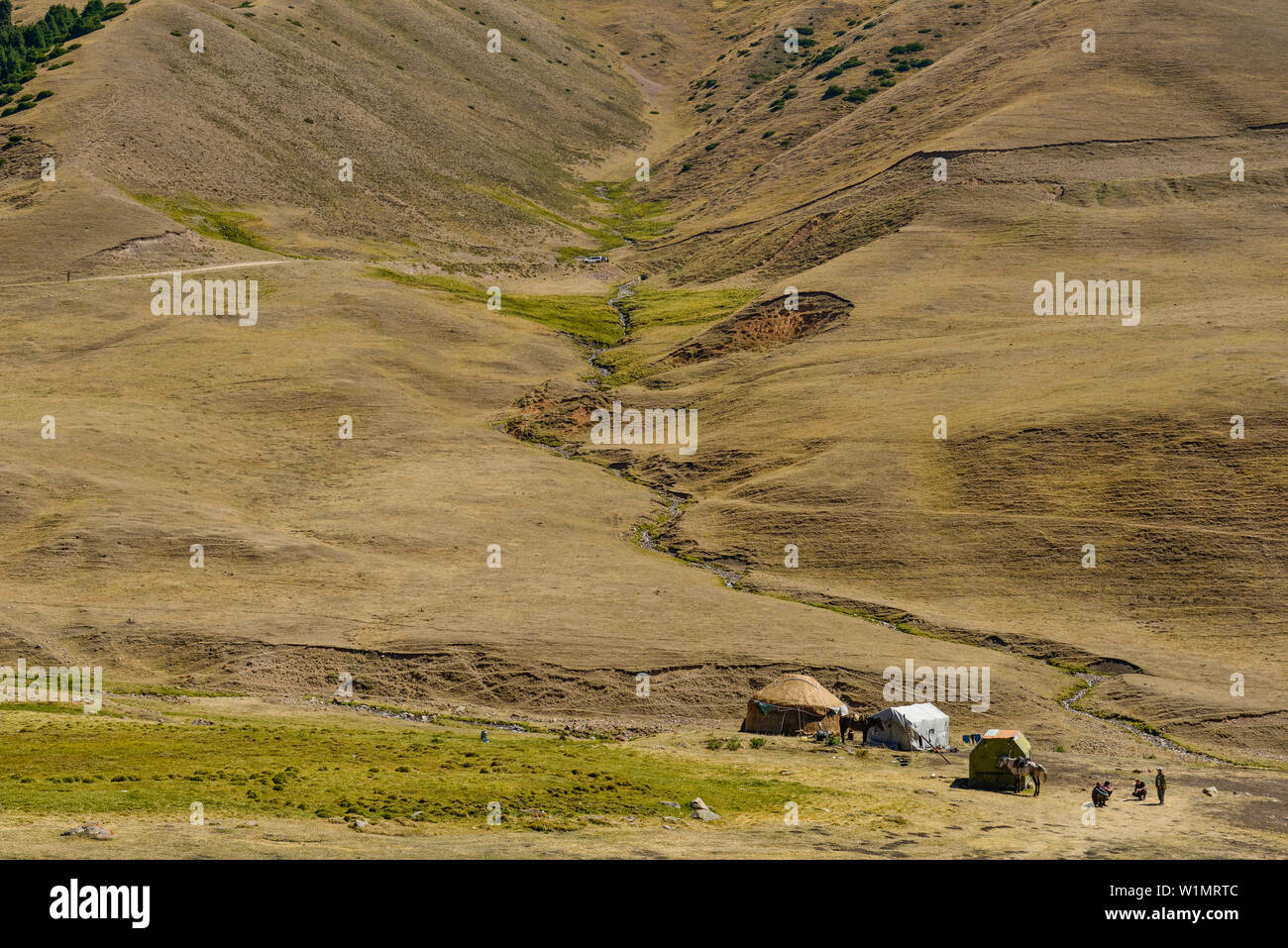 Nomads with jurts (tents) and horses in the steppe, Assy Plateau ...