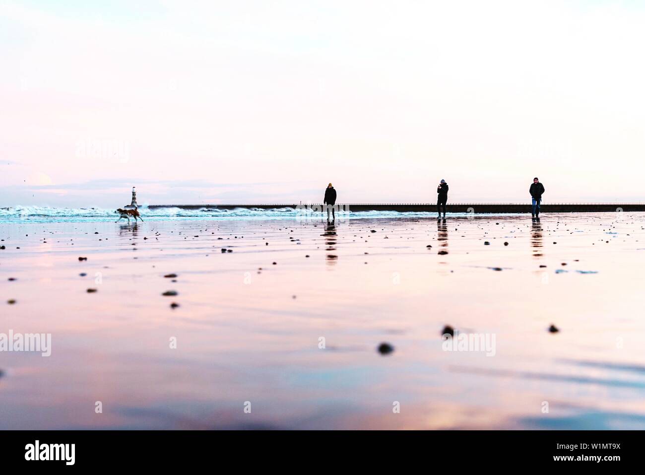 beach dawn sun sunset water Stock Photo - Alamy