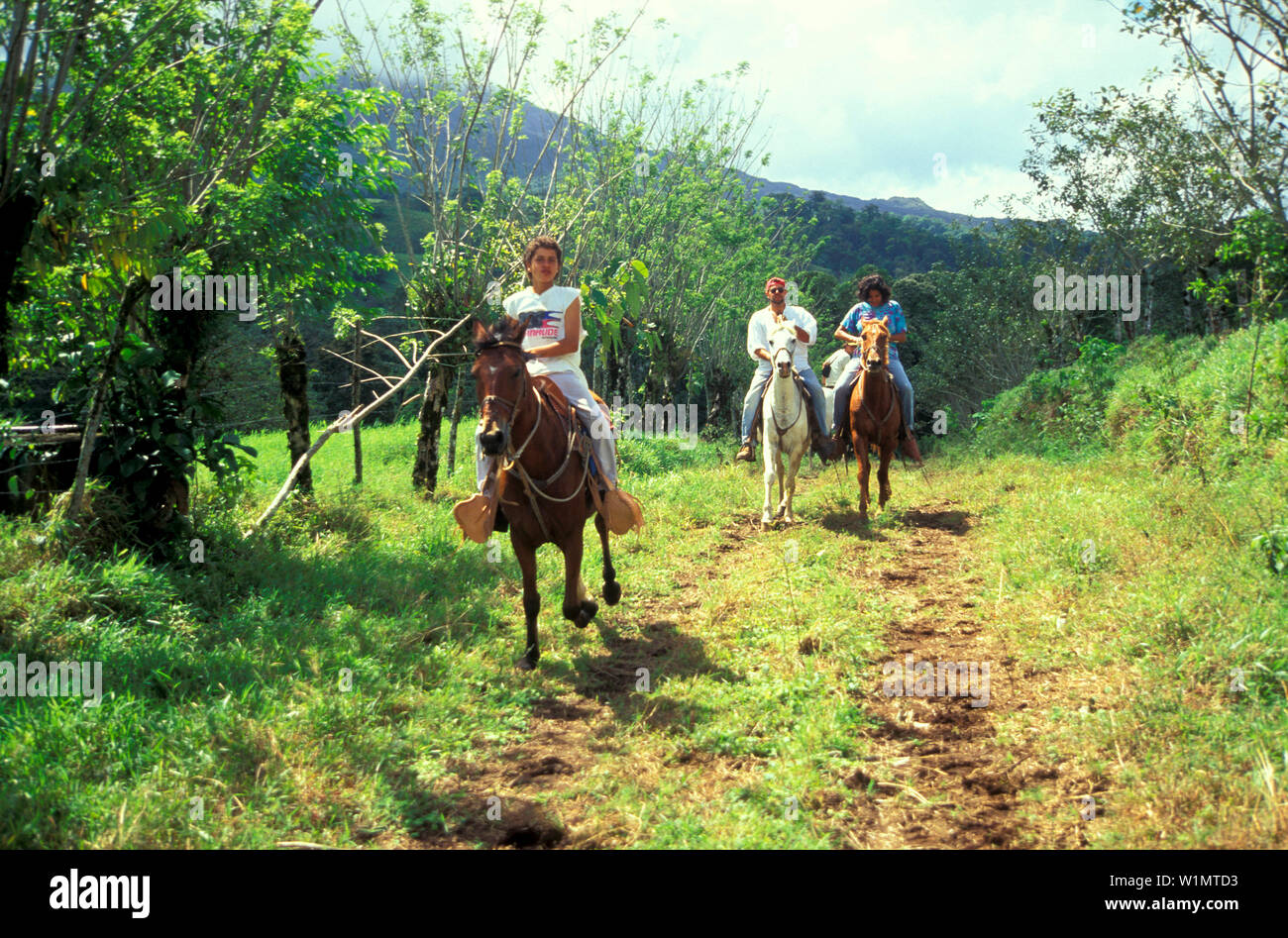 Arenal costa rica horse hi-res stock photography and images - Alamy