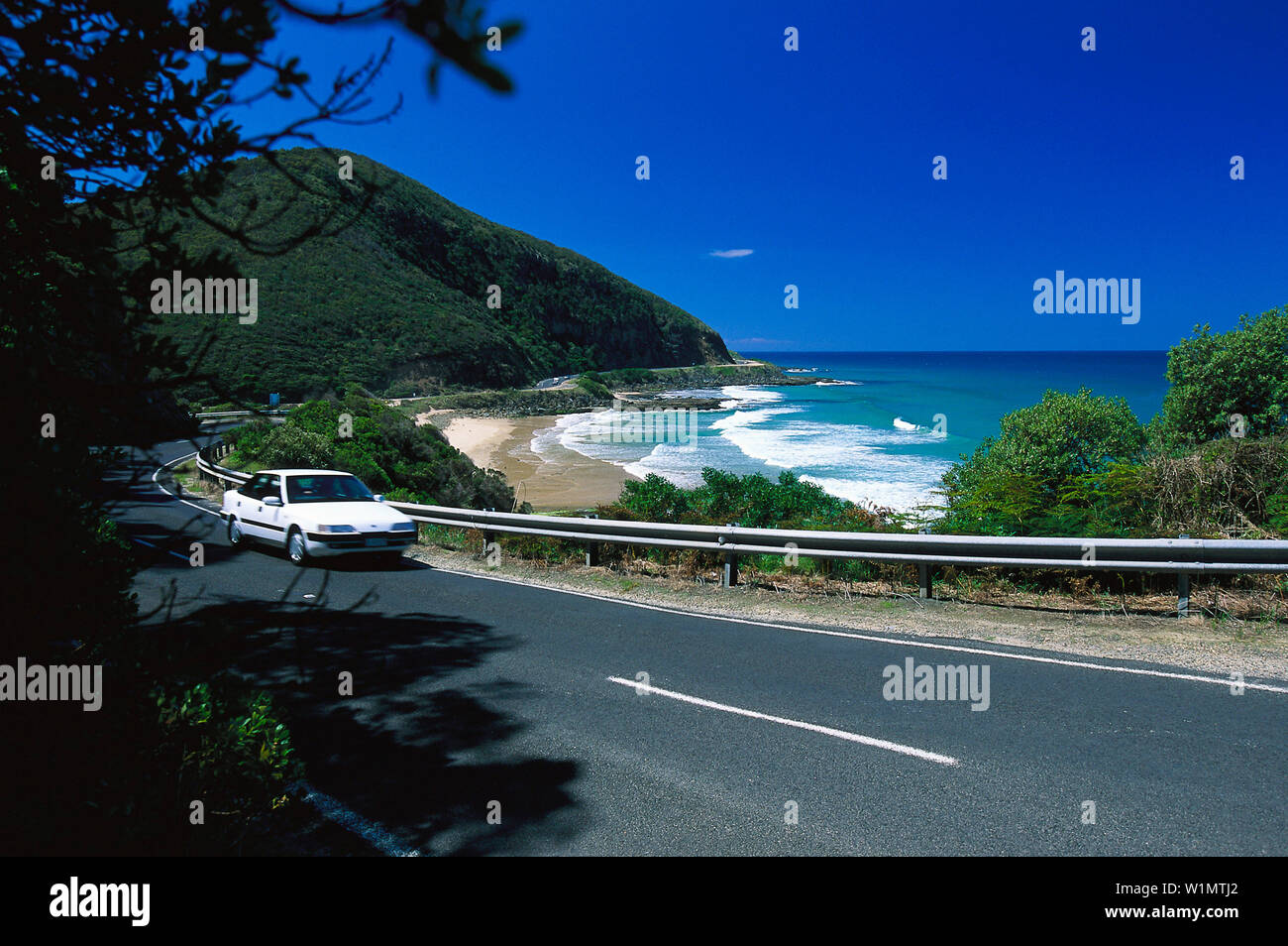 Great Ocean Road, Otway Ranges Victoria, Australia Stock Photo - Alamy