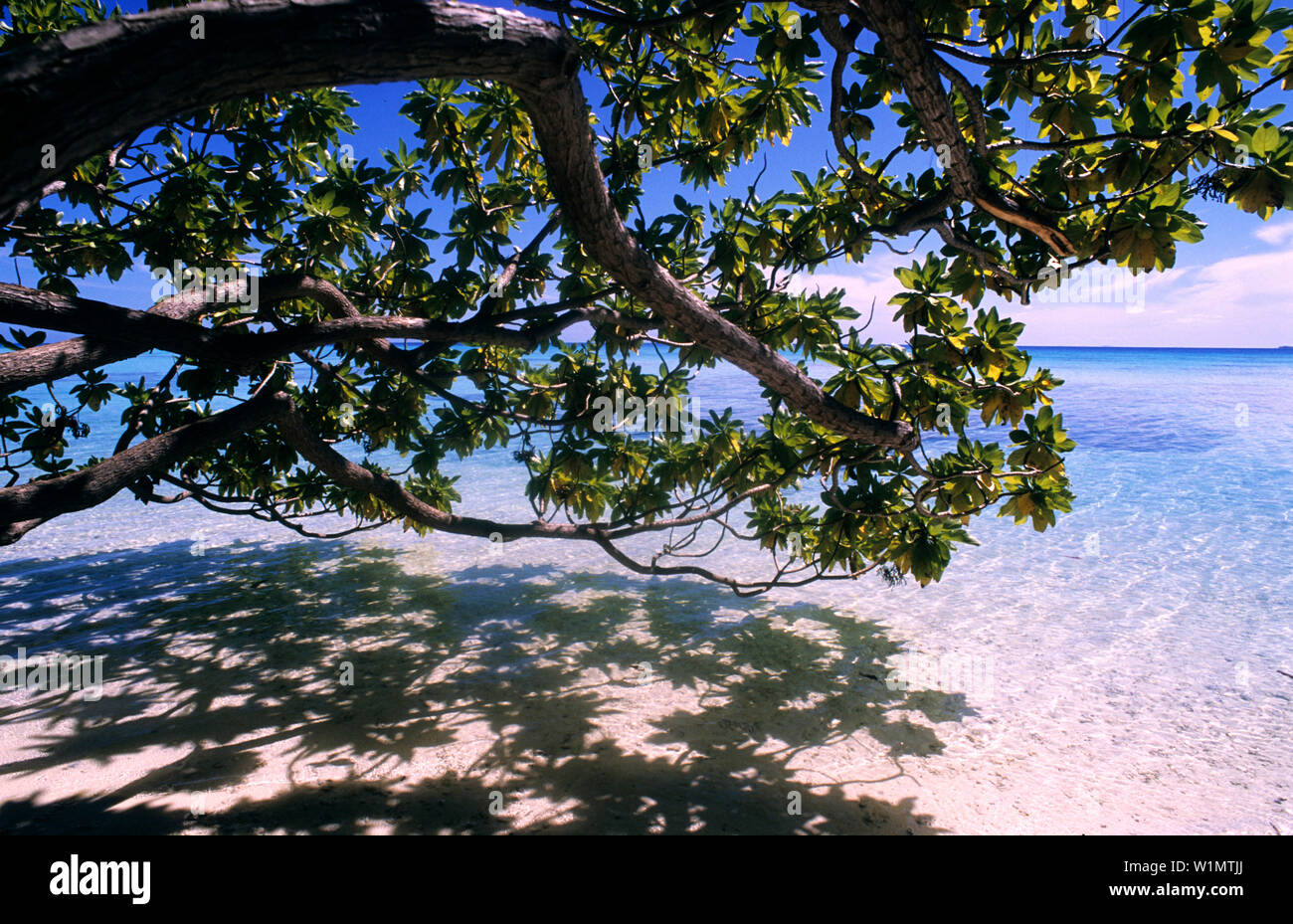Makemo - Tuamotu Islands French Polynesia - South Pacific Stock Photo ...