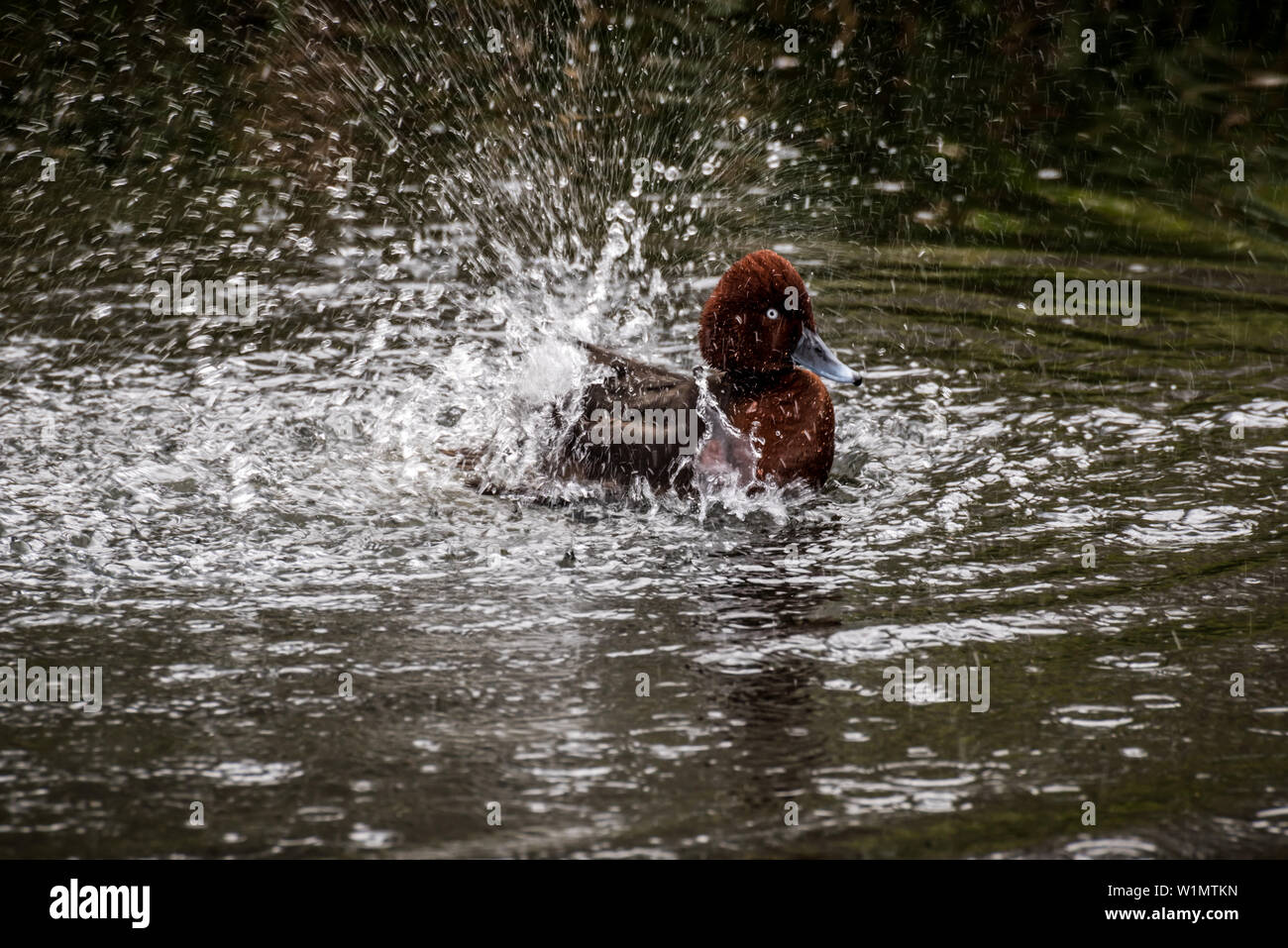 water outdoors wet reflection river Stock Photo - Alamy