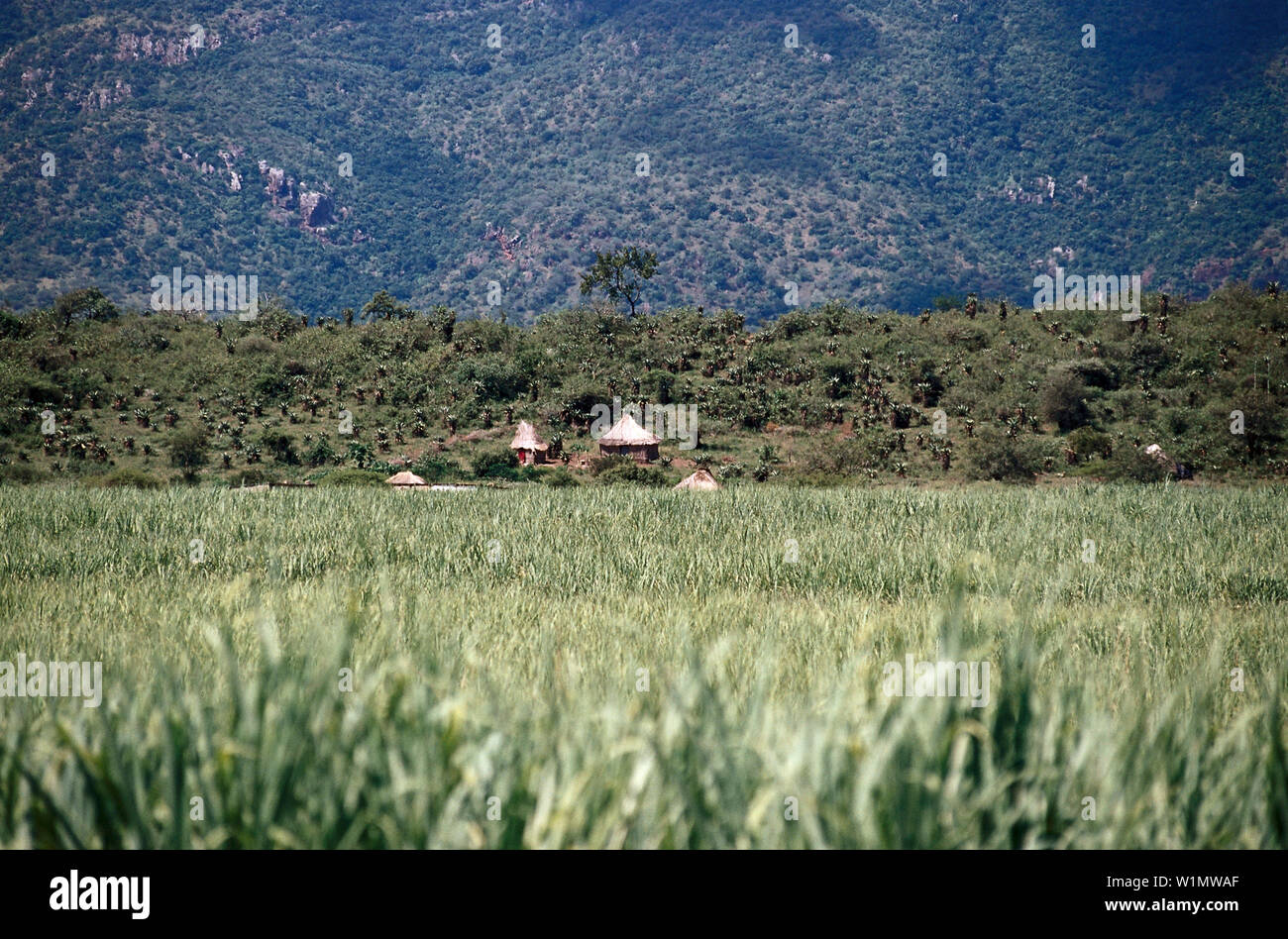 The Lowveld, Swaziland South Africa Stock Photo - Alamy