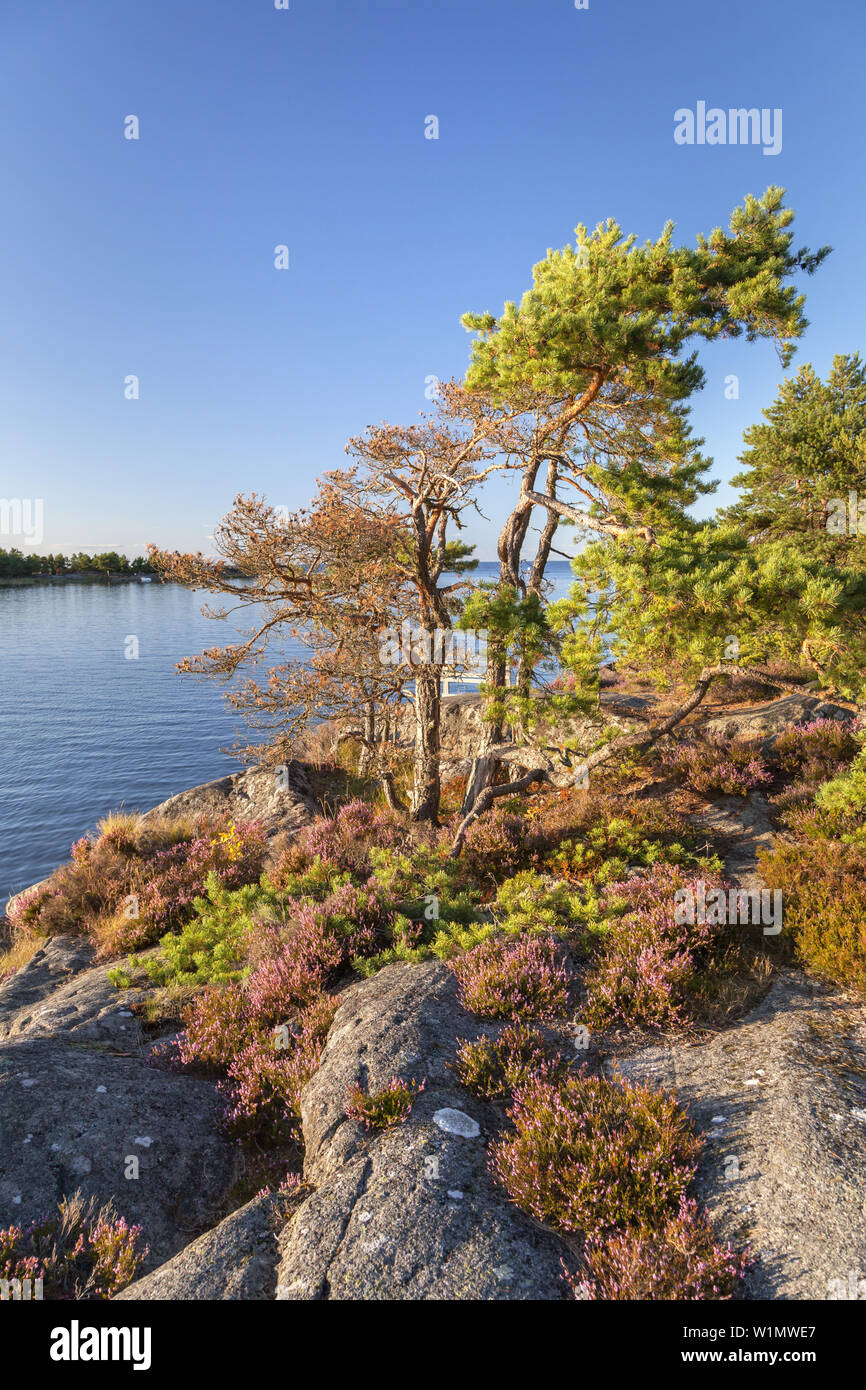 Lake Vanern