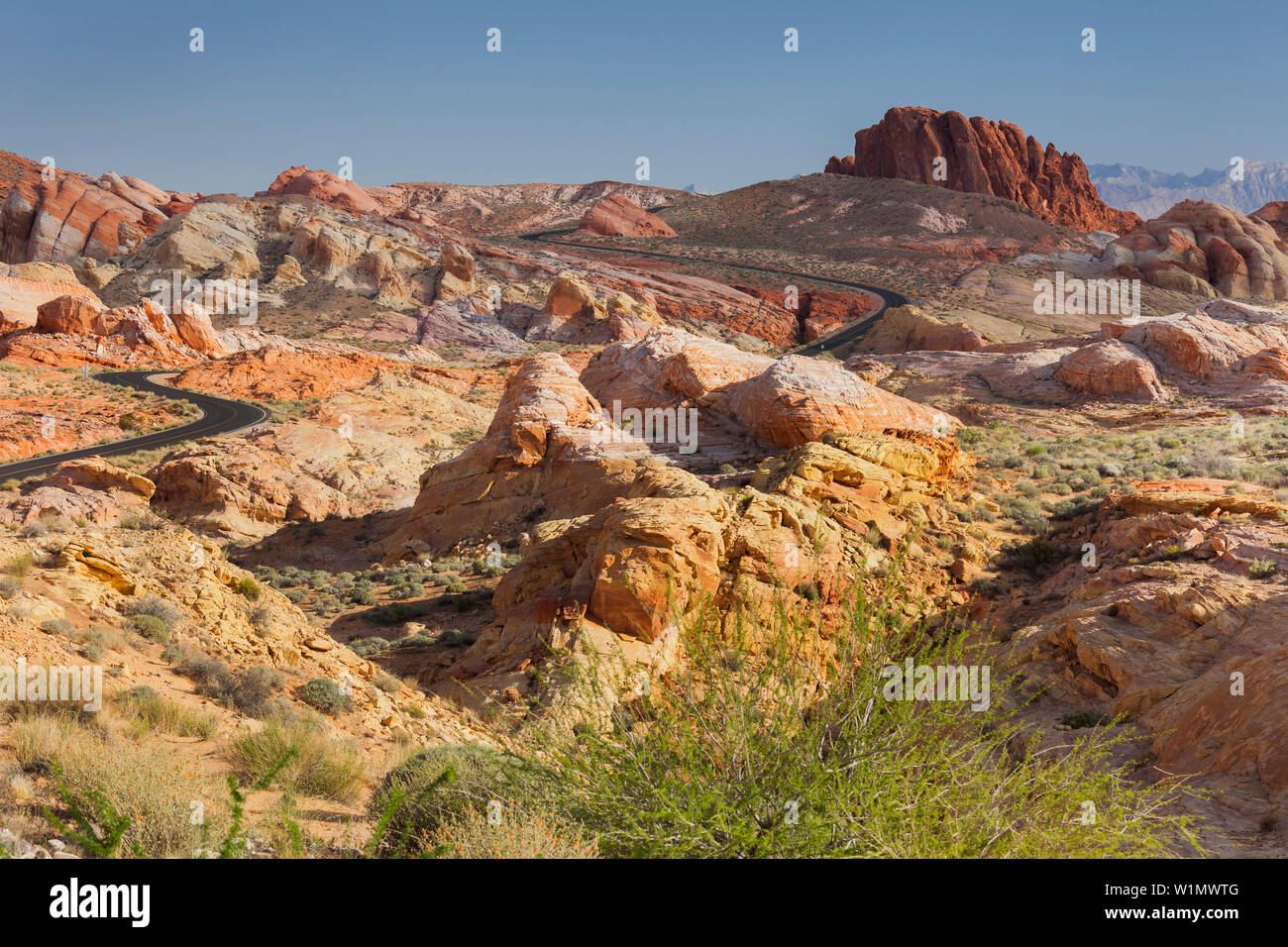 Mouses tank road hi-res stock photography and images - Alamy