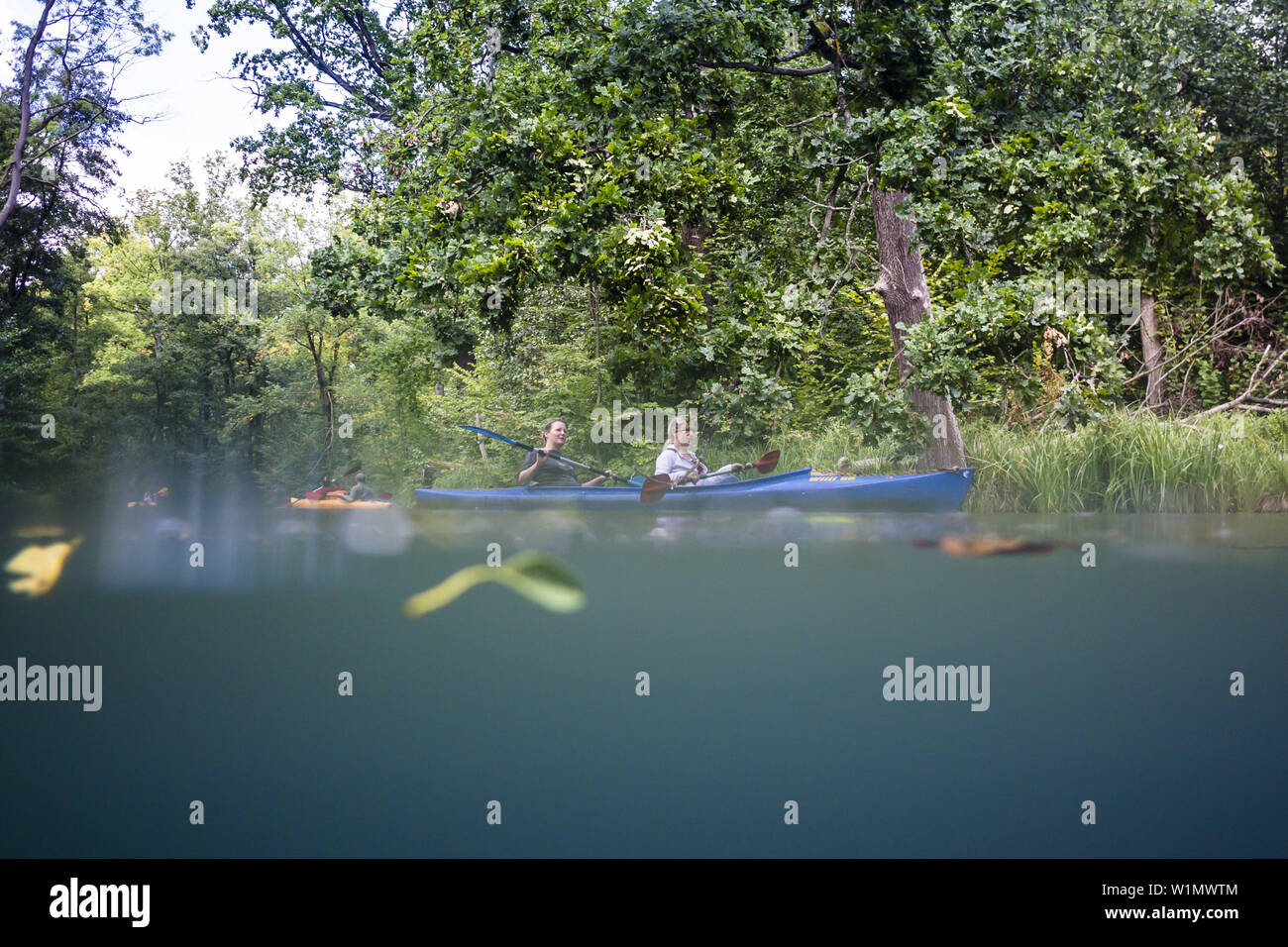 Kayak tourists paddling through the Spreewald biosphere reserve ...