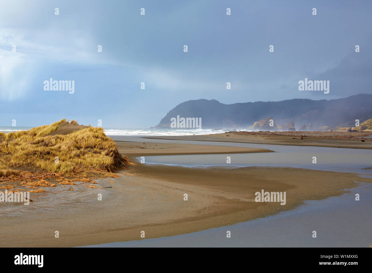 View over Pistol River towards Cape Sebastian , Oregon , USA Stock ...