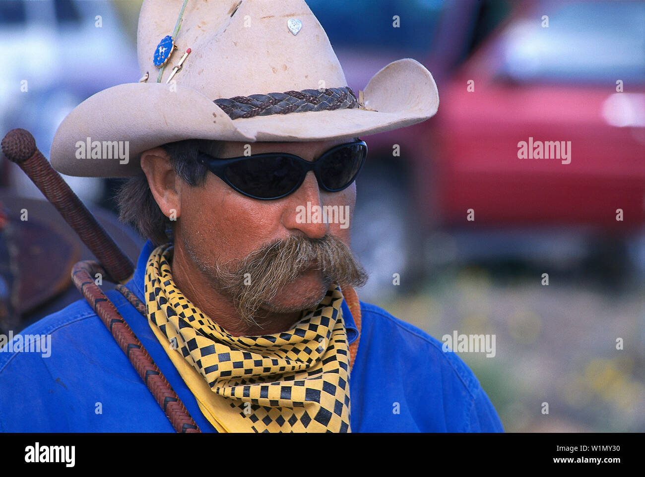 Portrait, Cowboy, Cattle Station, South Australia Australia Stock Photo ...