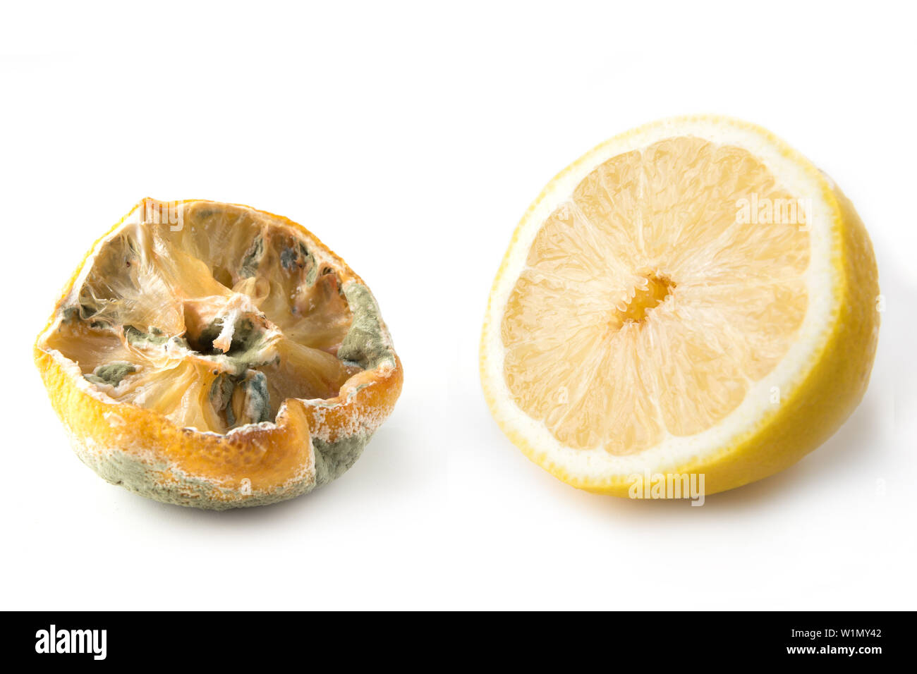 Ugly lemon with mold and fresh half lemon on white background. Close up ...