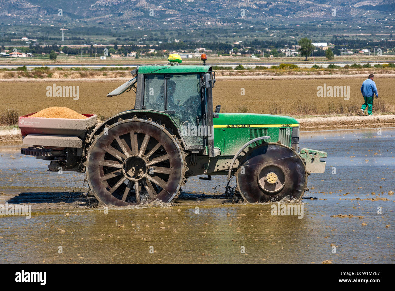 Rice paddy field europe hi-res stock photography and images - Alamy