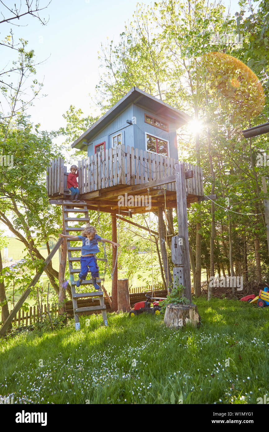 Kids climbing the tree hi-res stock photography and images - Alamy