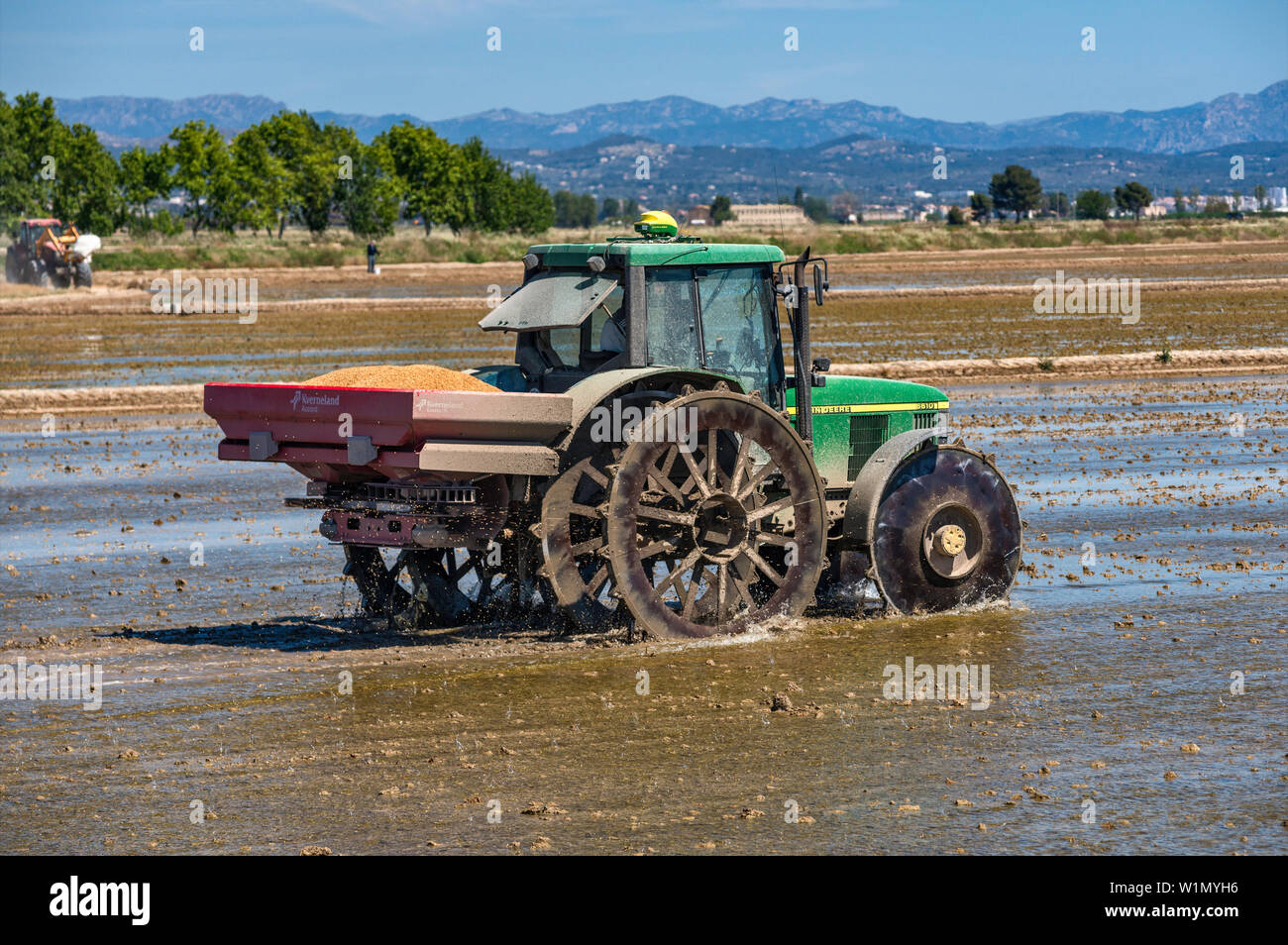 Rice paddy field europe hi-res stock photography and images - Alamy