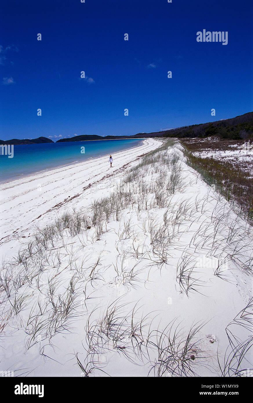 Whitehaven Beach, Whitsunday Island Queensland, Australia Stock Photo ...