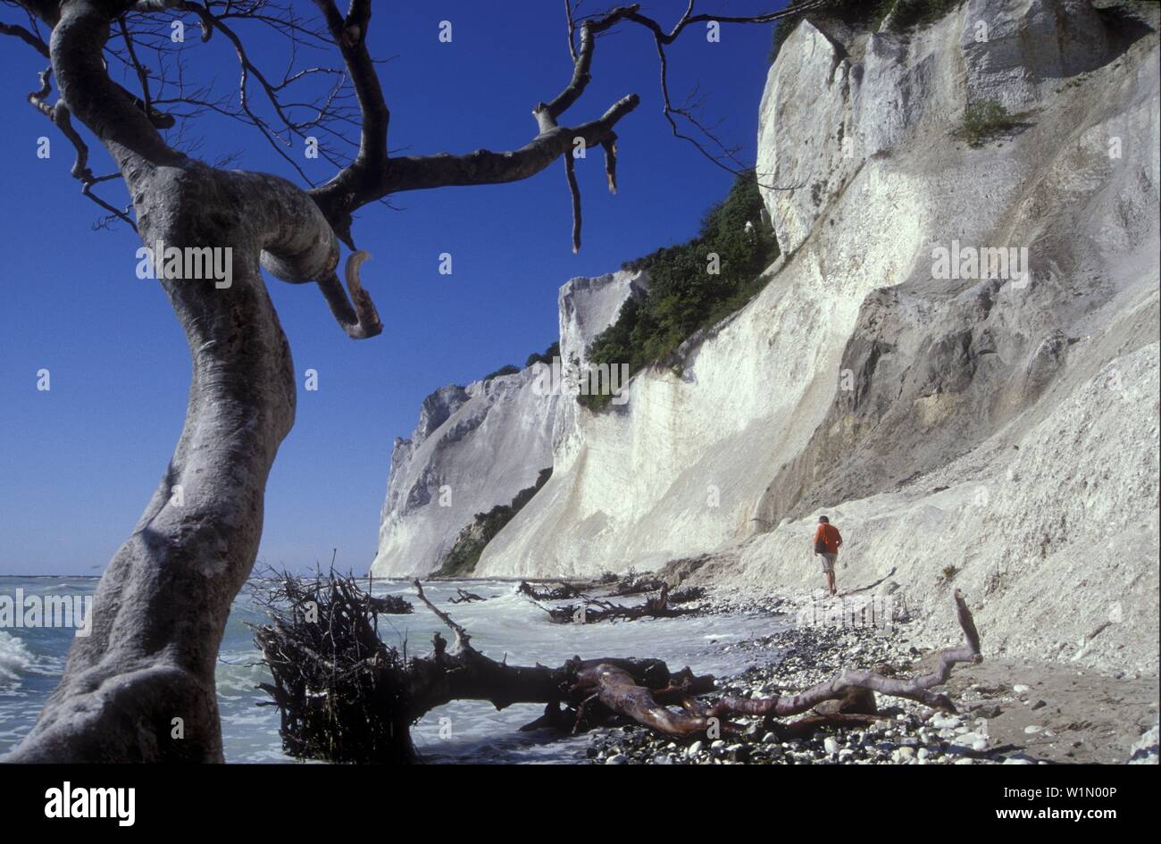 Mons Klint, Mon Denmark Stock Photo - Alamy