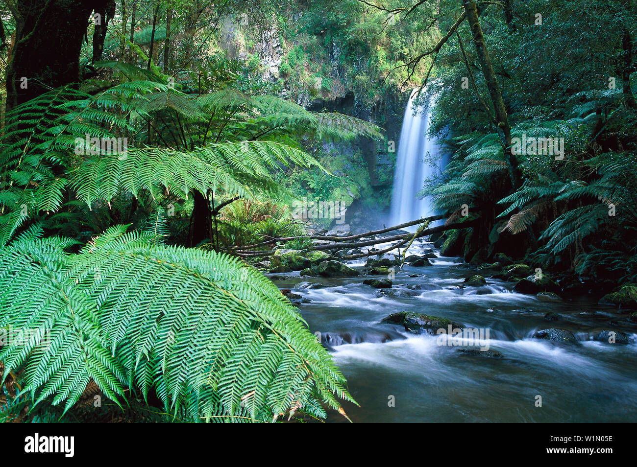 Hopetoun Falls, Aire River, Rainforest, Otway Ranges Victoria ...