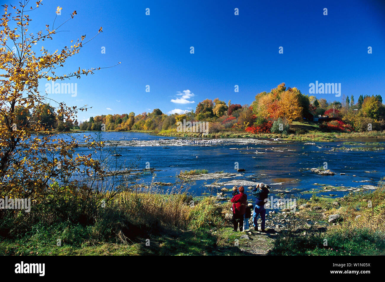 Family on the river, P. Quebec Canada Stock Photo - Alamy