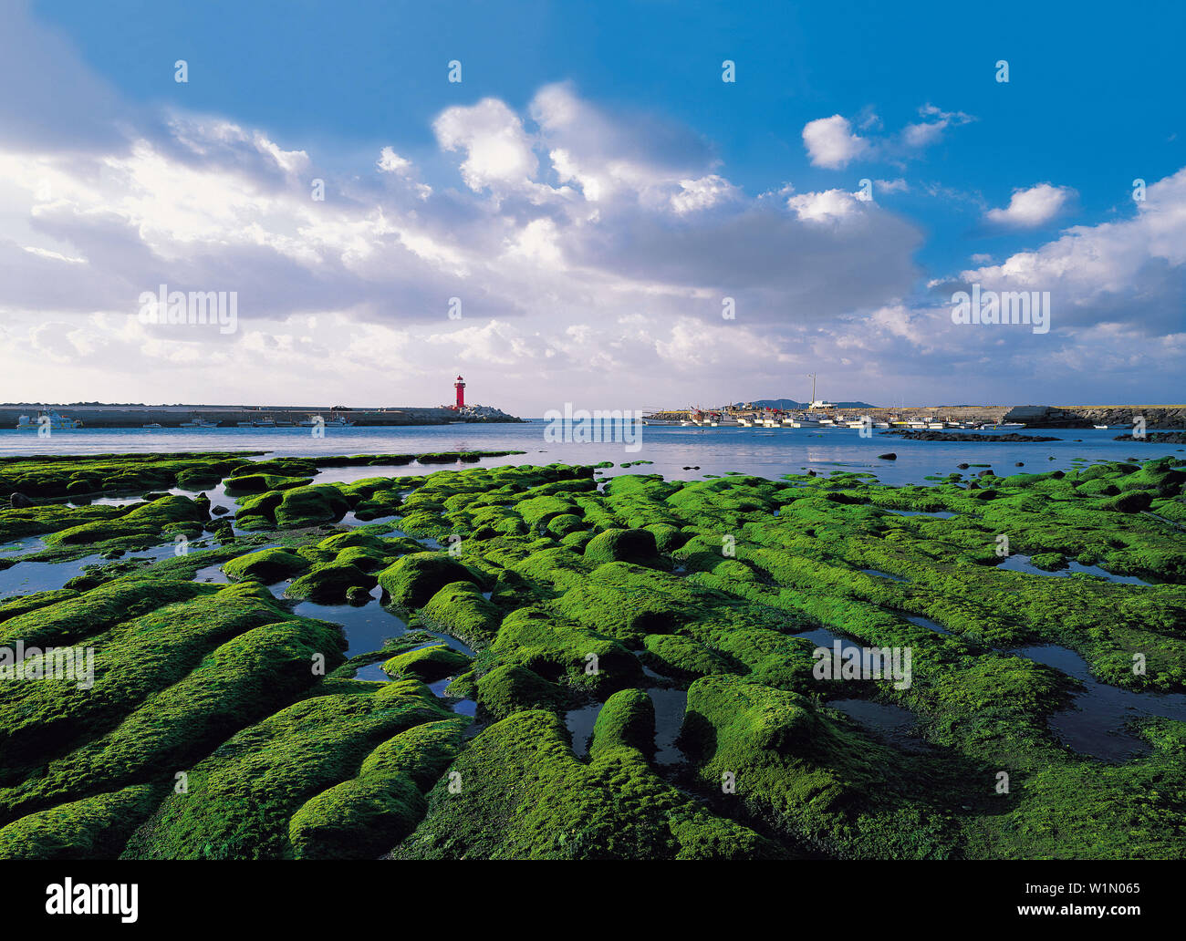 Jeju Island, Shinyang Stock Photo - Alamy