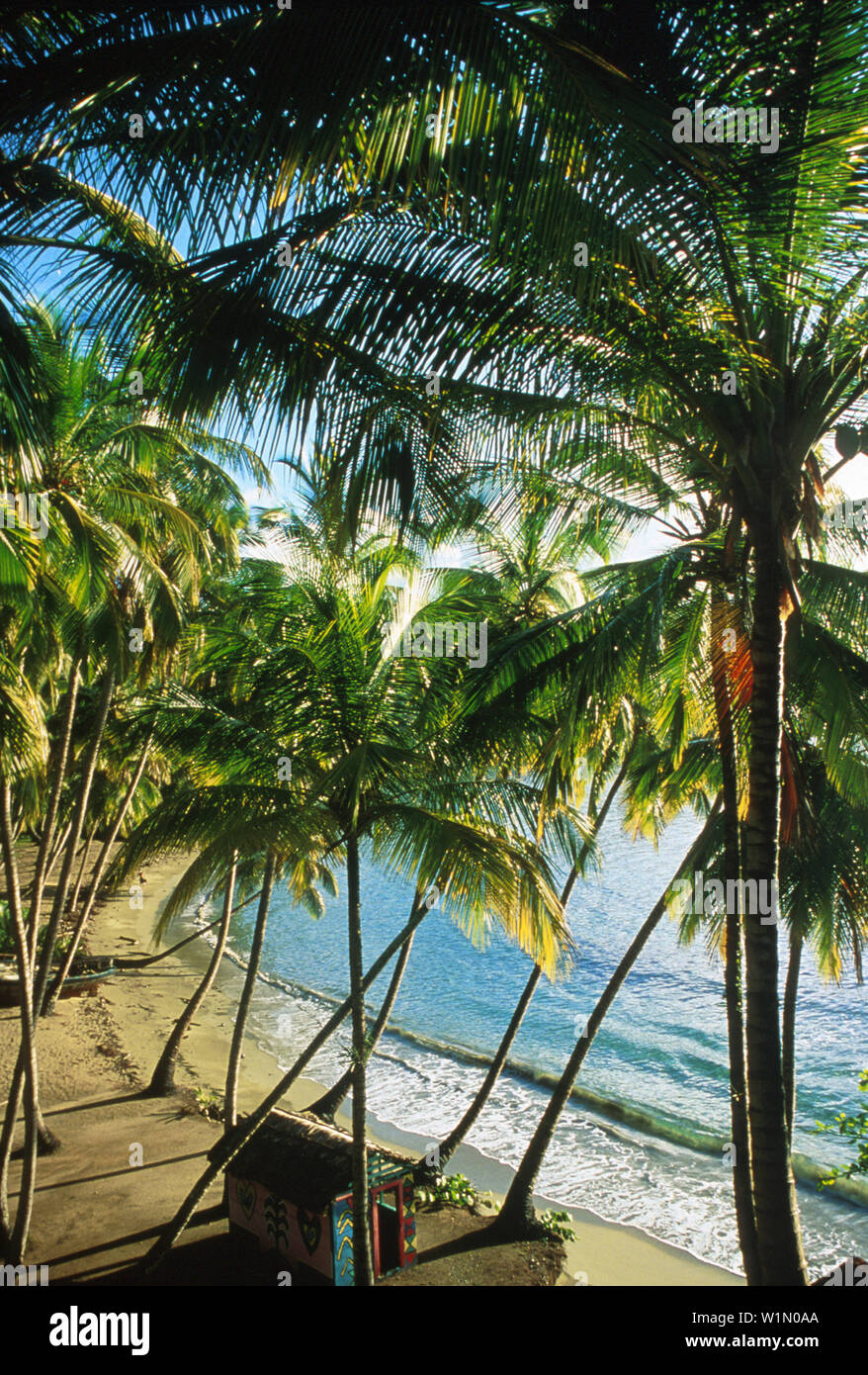 Playa Anadel, Halbinsel Samana, KB-Original ist beim Fotografen FMF ...