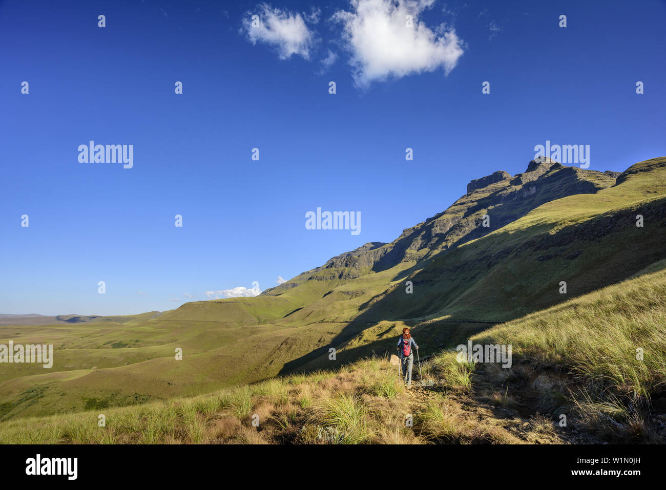 Woman hiking on Contour Path, Sterkhorn in background, Contour Path ...