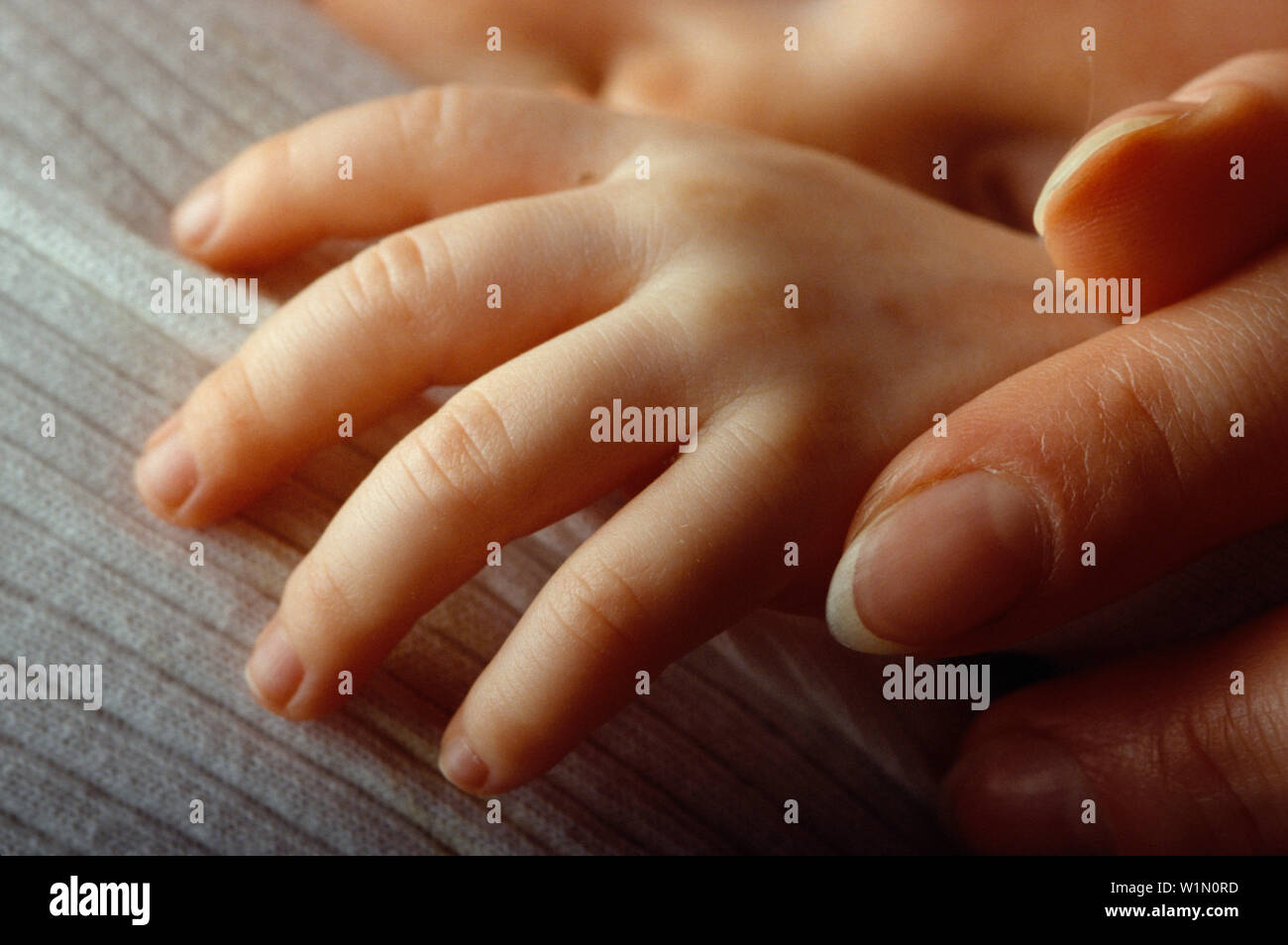 Hand von Kind und Mutter Stock Photo - Alamy