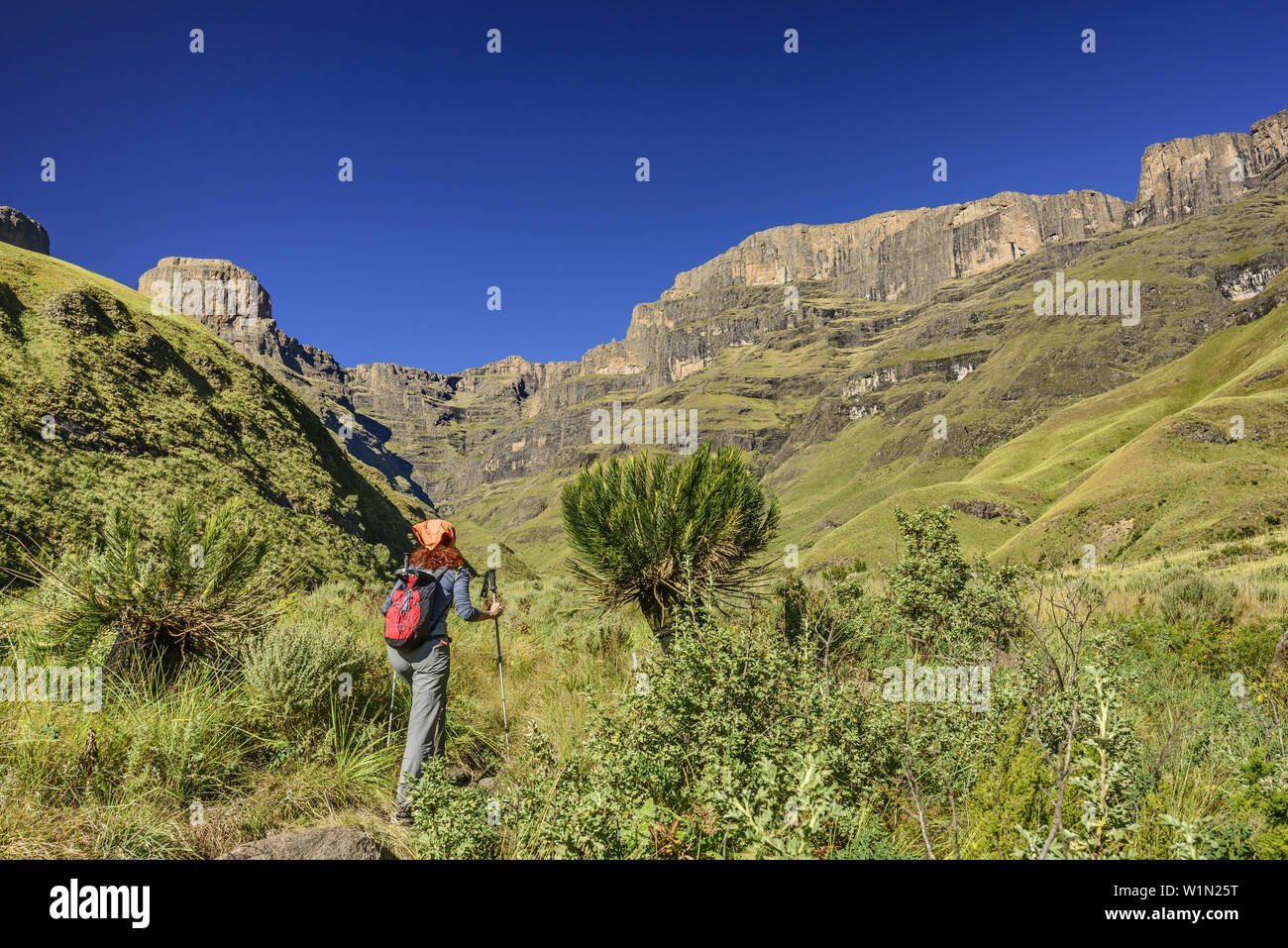 Monks cowl drakensberg hi-res stock photography and images - Alamy