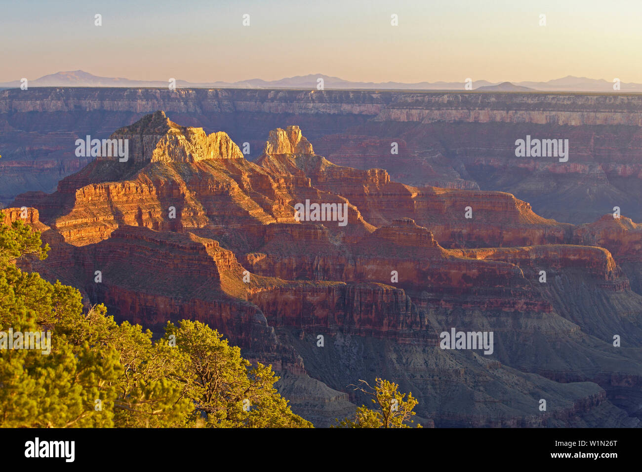 View from Bright Angel Point at Bright Angel Canyon , North Rim , Grand ...