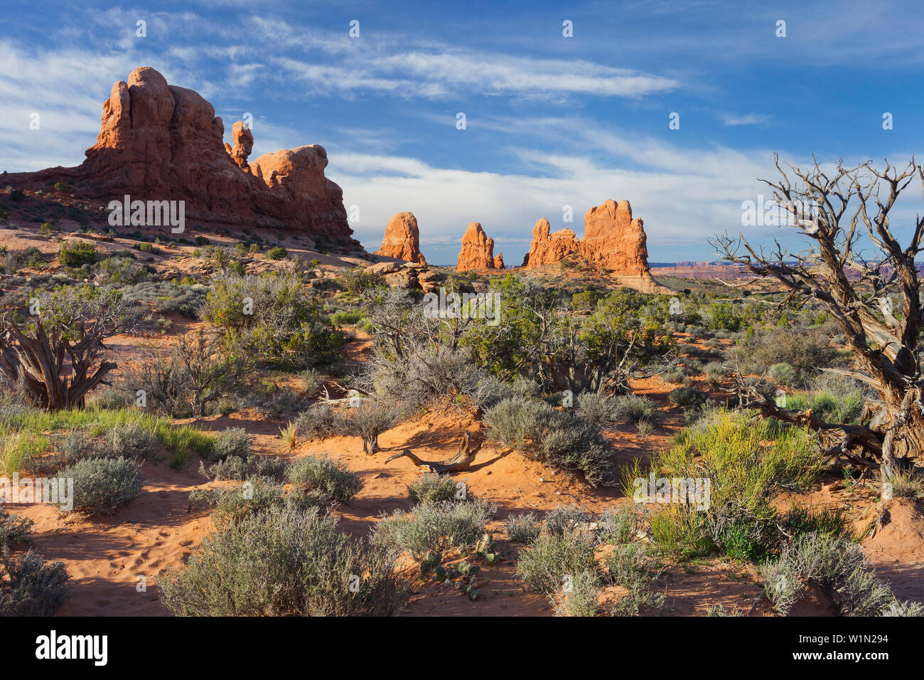 Elephant Butte, Arches National Park, Utah, USA Stock Photo - Alamy