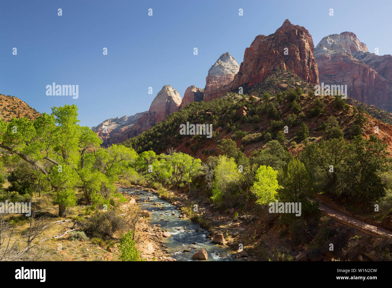 Waters plant virgin forest hi-res stock photography and images - Alamy