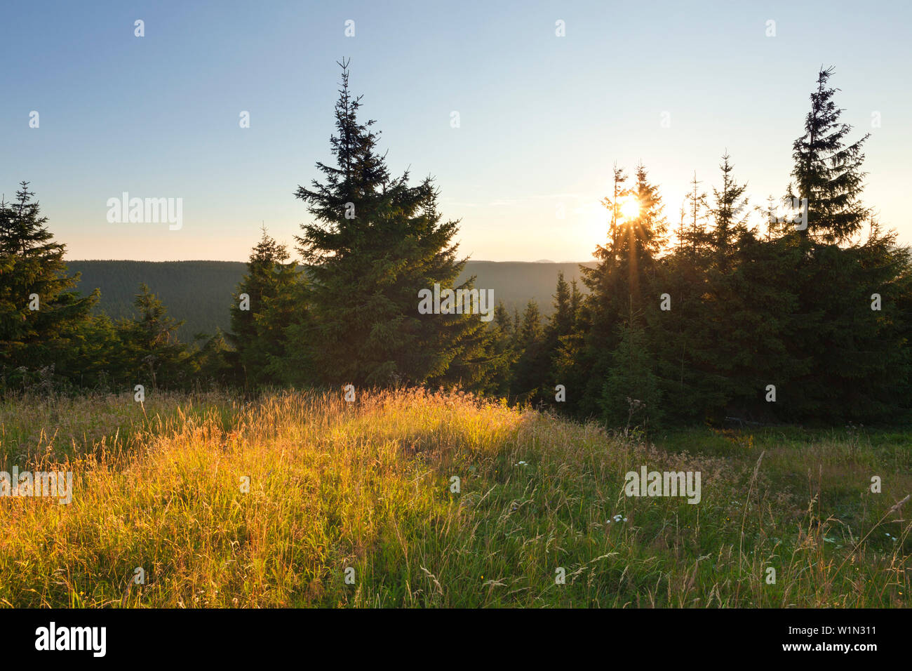 Sunset at Schneekopf hill, nature park Thueringer Wald, Thuringia ...