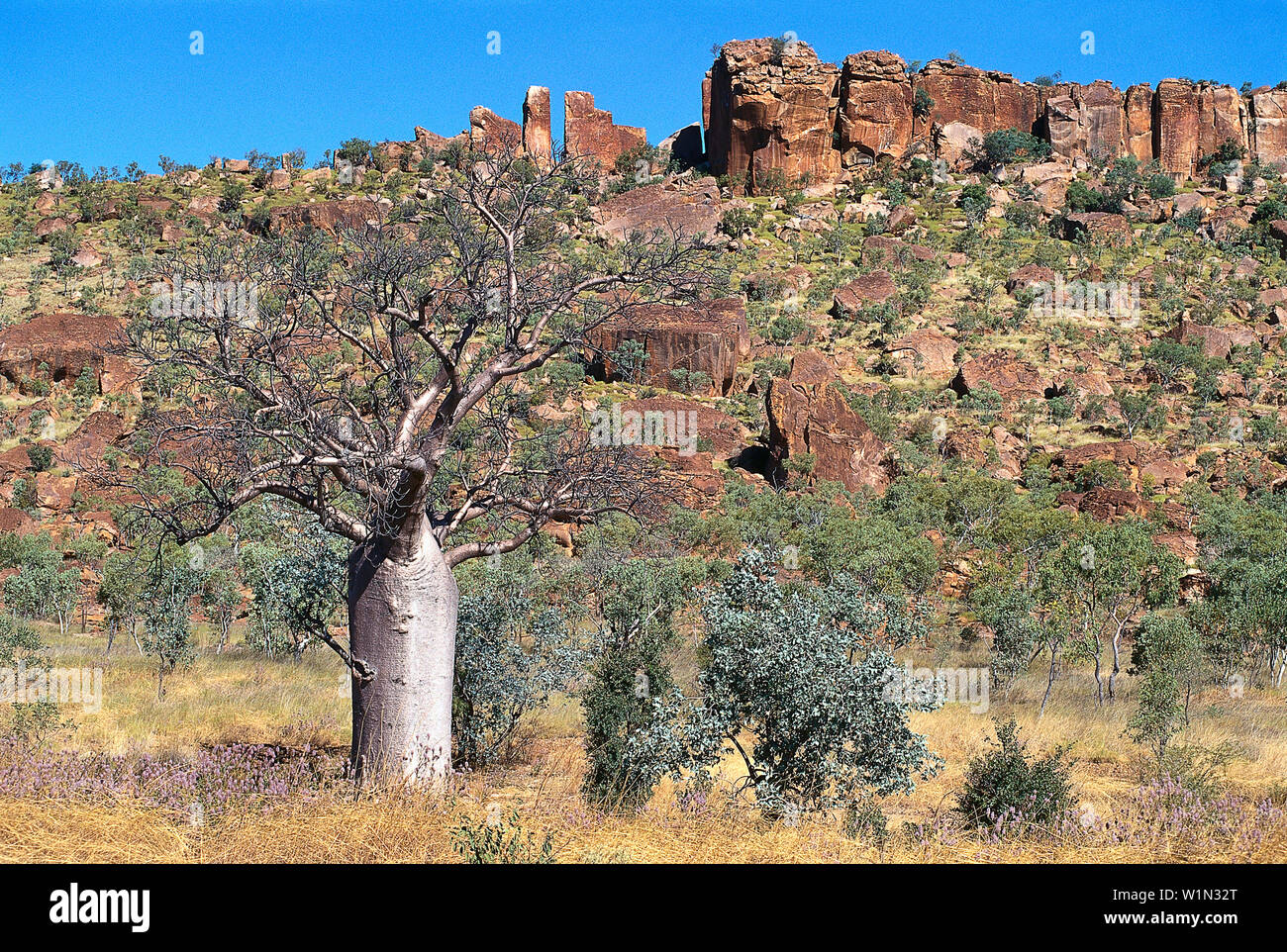 Fitzroy crossing australia hi-res stock photography and images - Alamy
