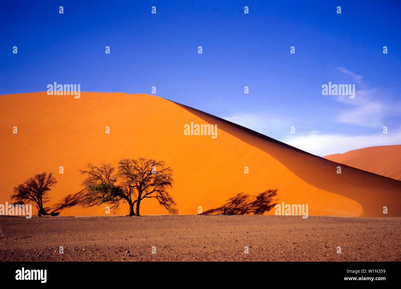 Morning in the Namib Desert, Namib Desert, Namibia, Africa Stock Photo ...