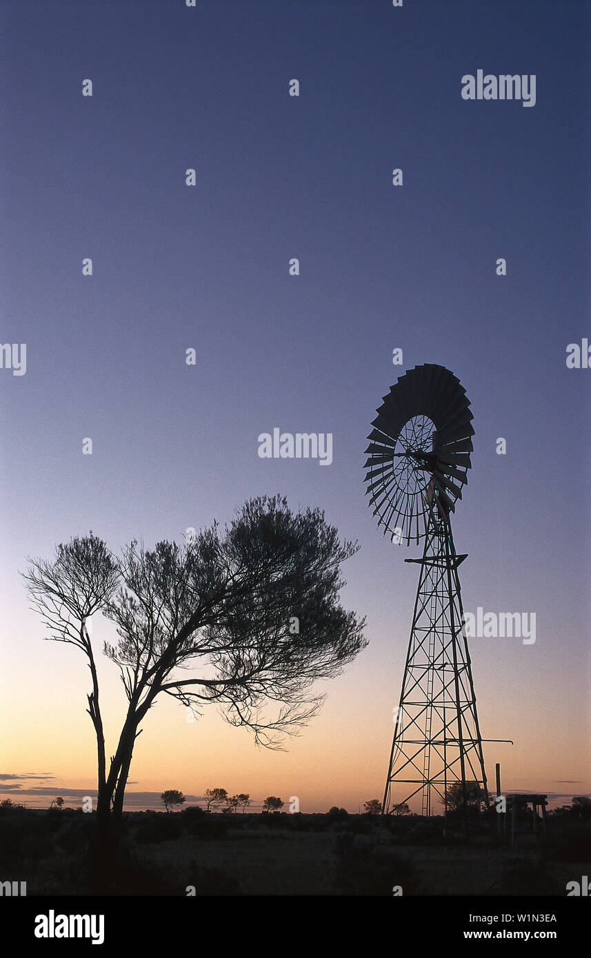 Wind wheel and tree at sunset, Woomera, Stuart Highway, Australia Stock ...