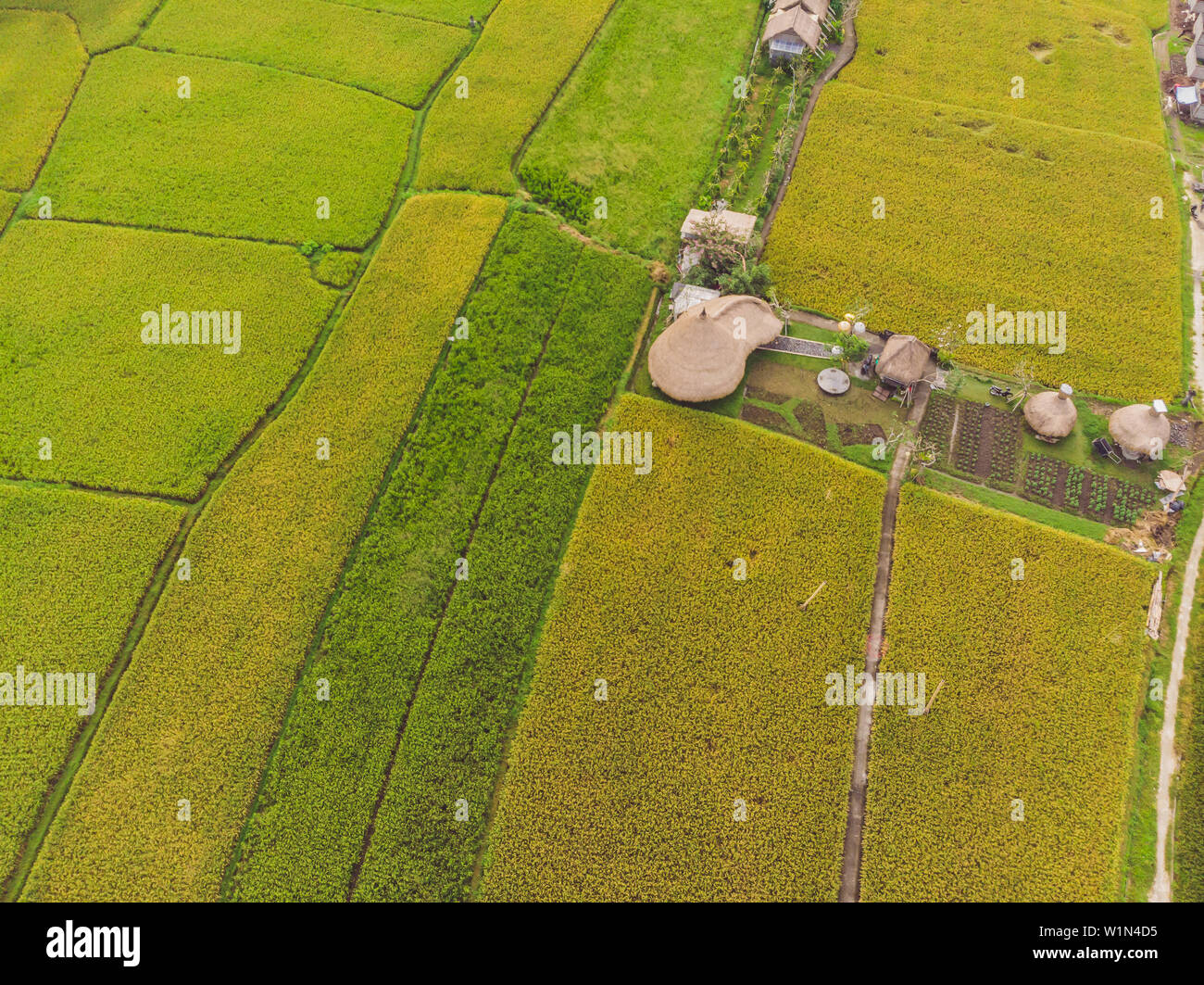 Image of beautiful Terraced rice field in water season and Irrigation ...