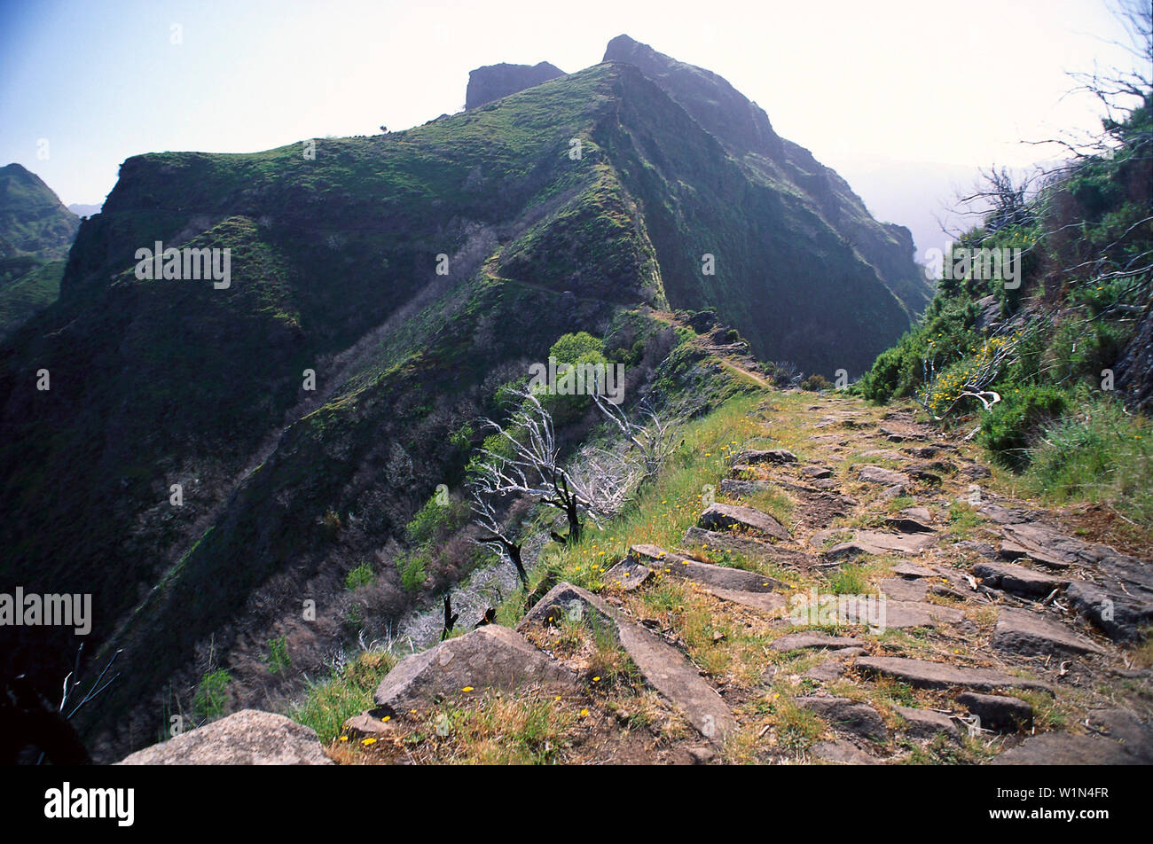 Mule track hi-res stock photography and images - Alamy