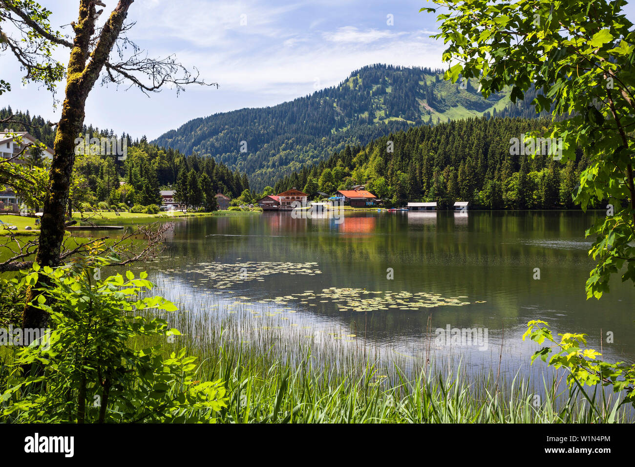 lake Spitzingsee, Alps, Upper Bavaria, Germany, Europe Stock Photo - Alamy