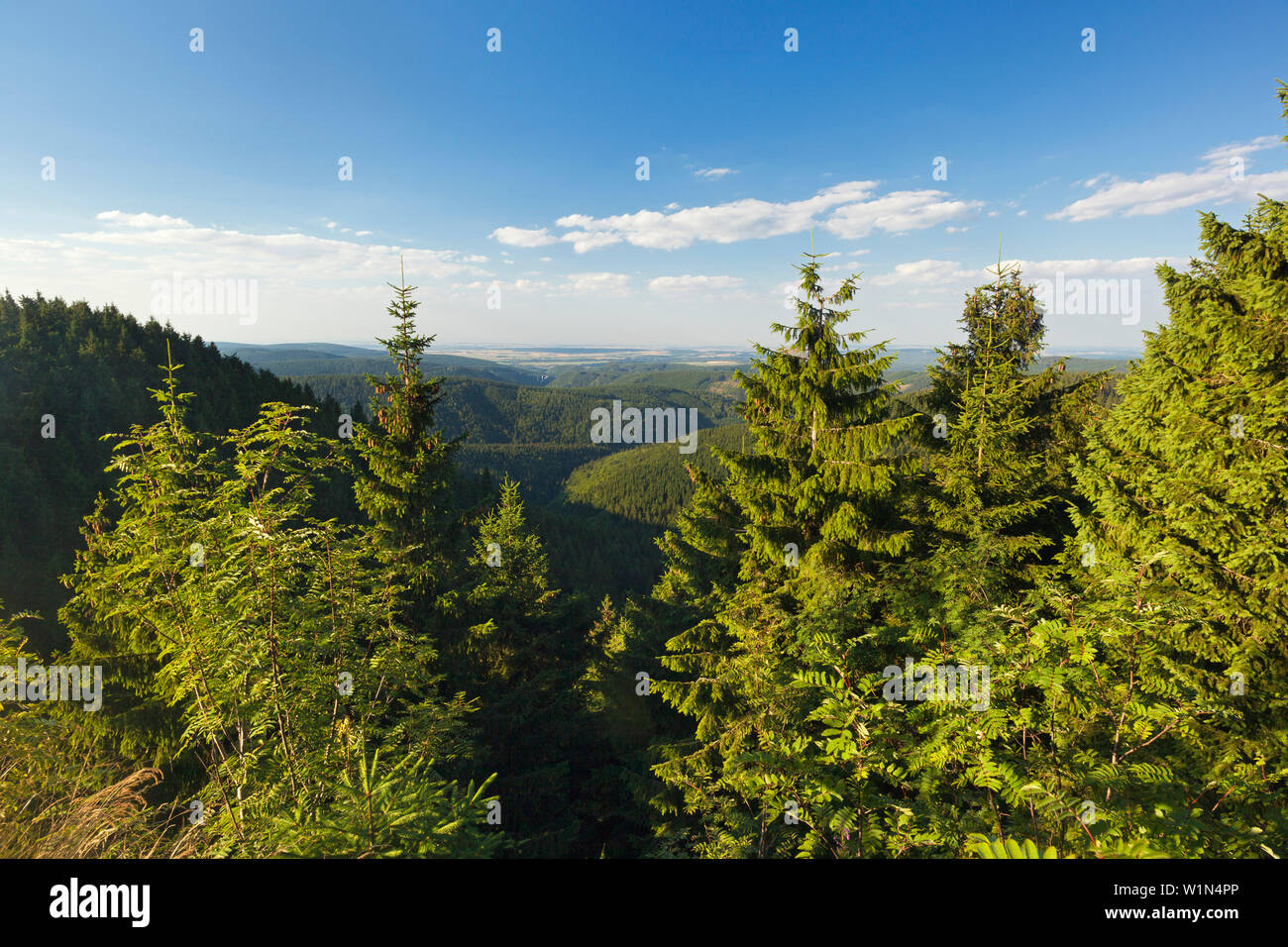 View from Teufelskanzel at Schneekopf hill, nature park Thueringer Wald ...