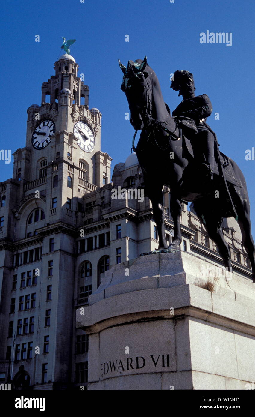 Royal Liver Building, Liverpool Europe, England Stock Photo - Alamy