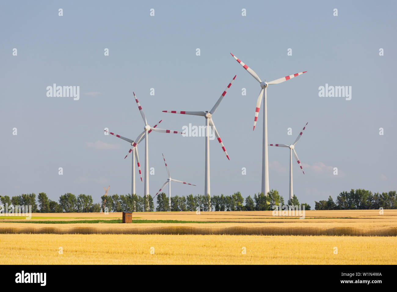 Vienna basin hi-res stock photography and images - Alamy