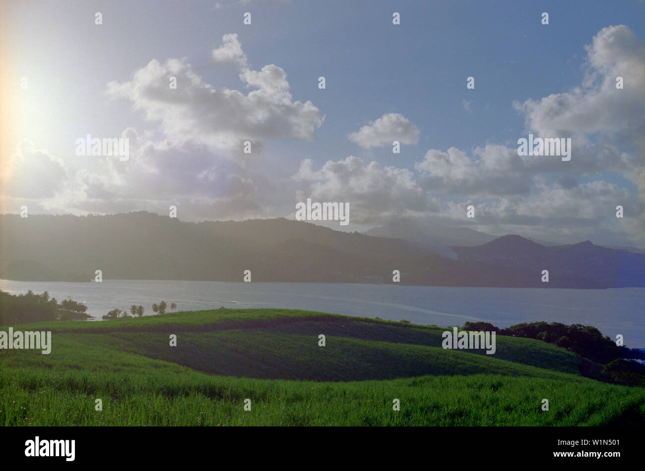 Martinique landschaft hi-res stock photography and images - Alamy