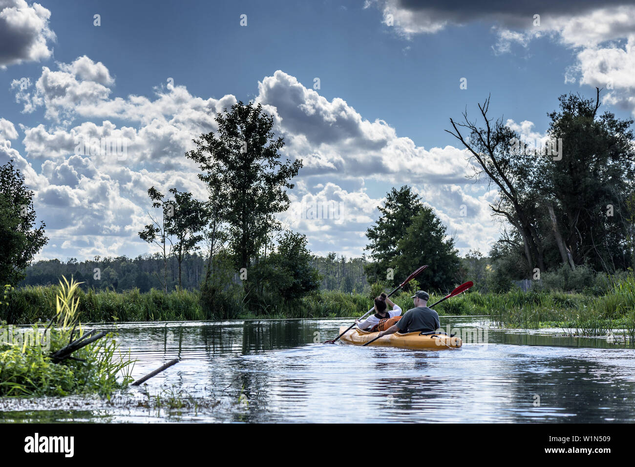 Tourist couple in a yellow two-man kayak paddling on a branch of a ...