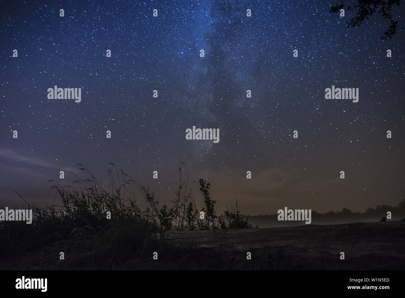 Starry sky with clear visible Milky way above the Spreewald. Stump of a ...