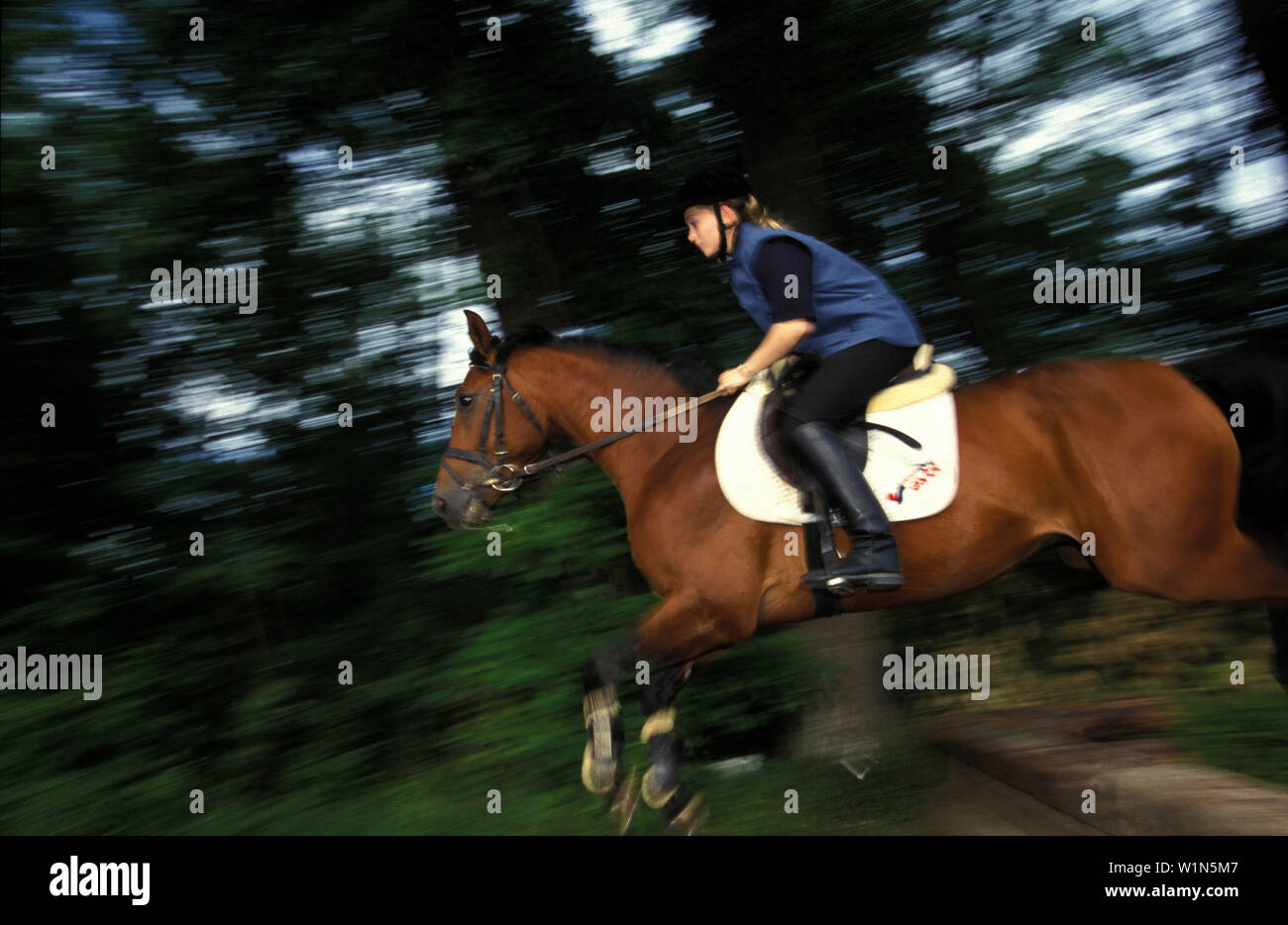 Springreiten hi-res stock photography and images - Alamy