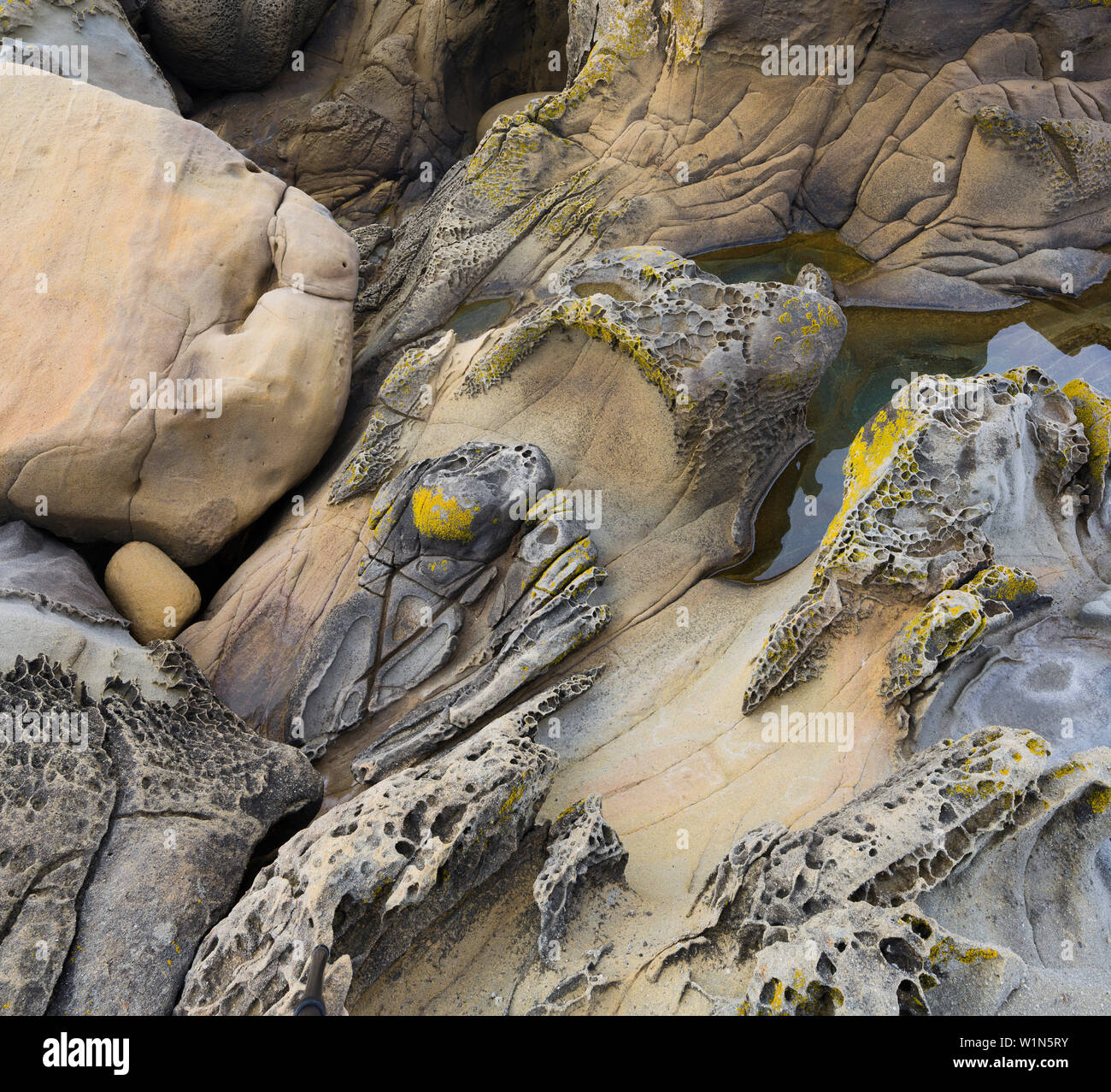 Salt point state park hi-res stock photography and images - Alamy