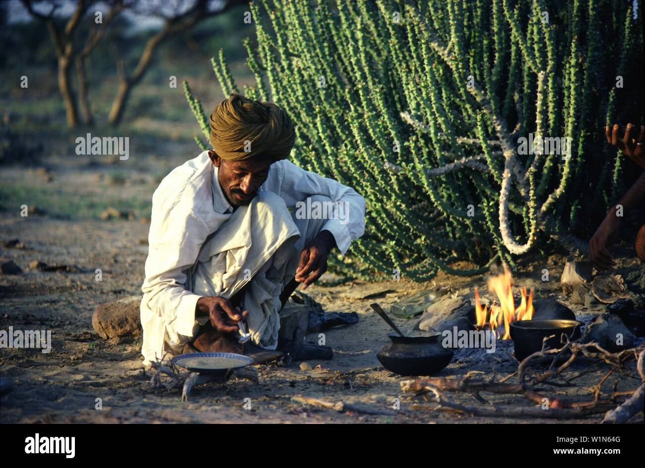 Cooking, Thar dessert, Thar Dessert, Rajasthan India, Asia Stock Photo ...