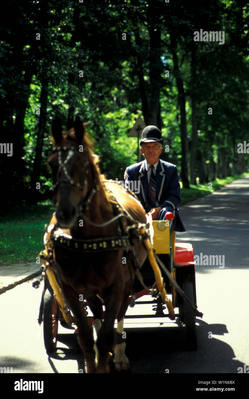 Old man on a trap, Lithuania Baltic States Stock Photo - Alamy