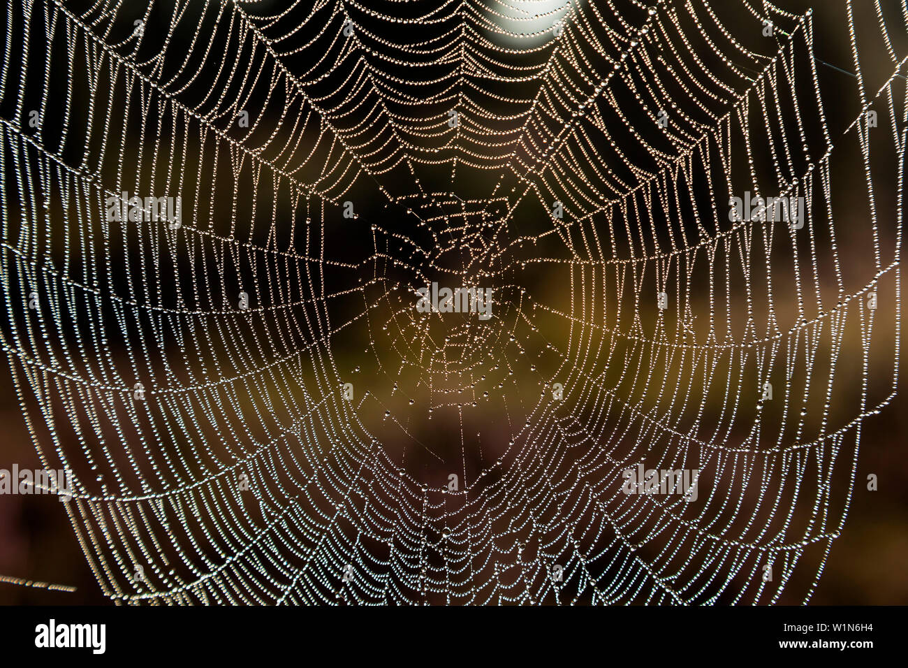 Cobweb empty hi-res stock photography and images - Alamy
