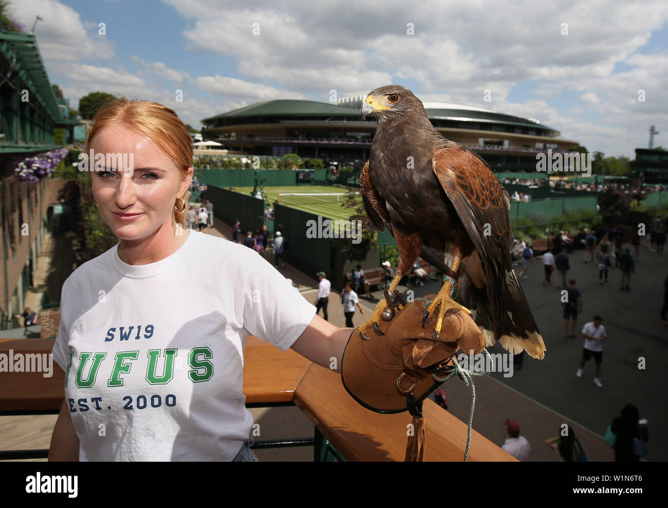 Imogen Davis with Rufus the Harris hawk, used by the All England Lawn ...
