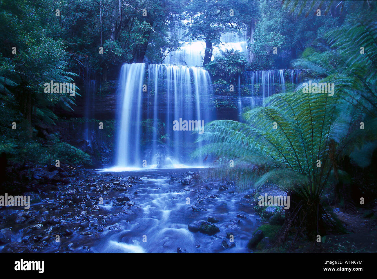 Russell Falls, Mount Field NP, Tasmania Australia Stock Photo - Alamy
